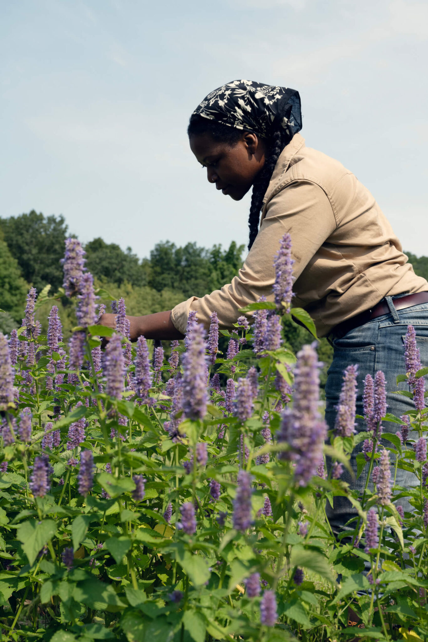 Ashanti Williams' Journey to Building an Unapologetically Black Farming ...
